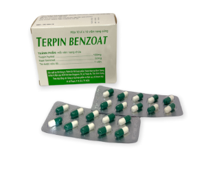 Terpin Benzoat 100mg Khánh Hội Bình Dương (H/100v) | Top Thuốc